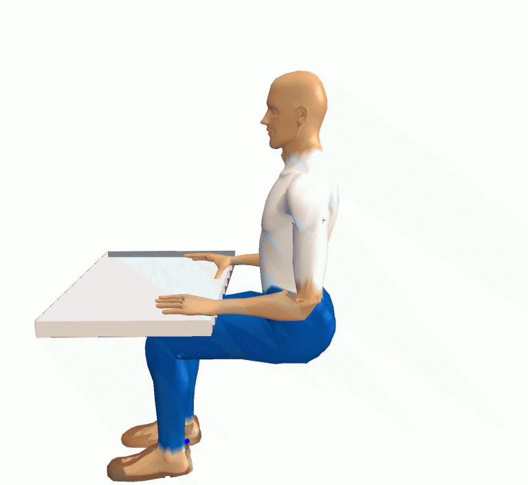 bird dog sit stand gif