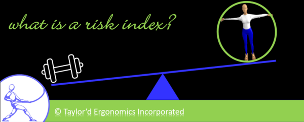 What is a risk index?