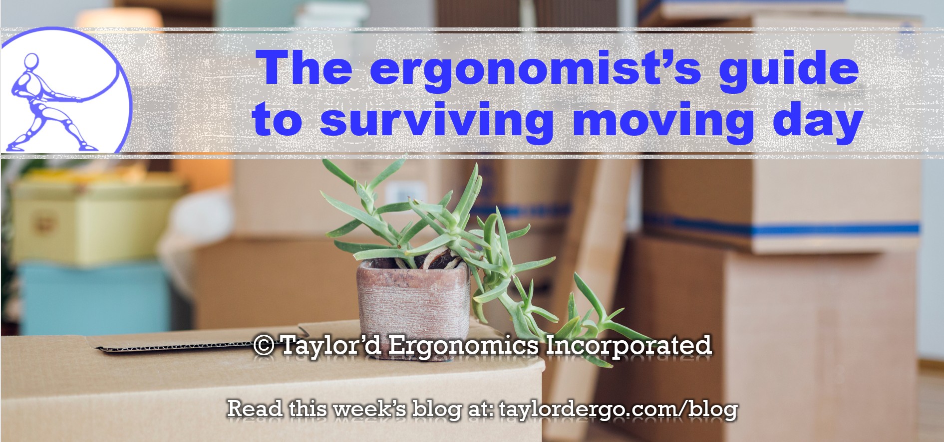 The Ergonomist’s Guide to Surviving Moving Day